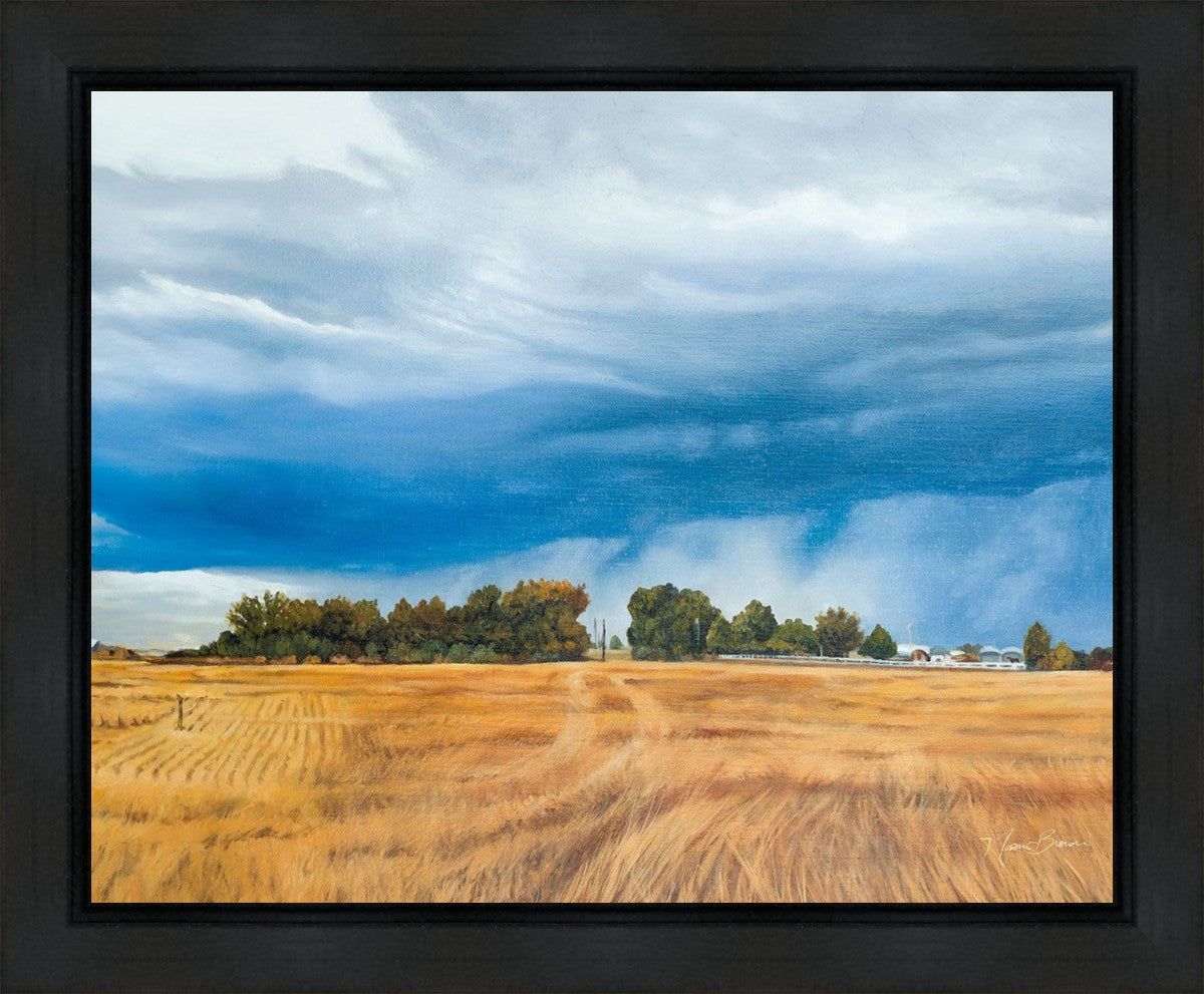 Stormy Skies Gallery Wrap – Havenlight