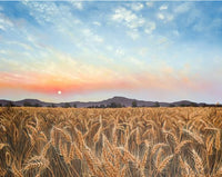 The largest selection of Christ and Jesus Pictures - Havenlight