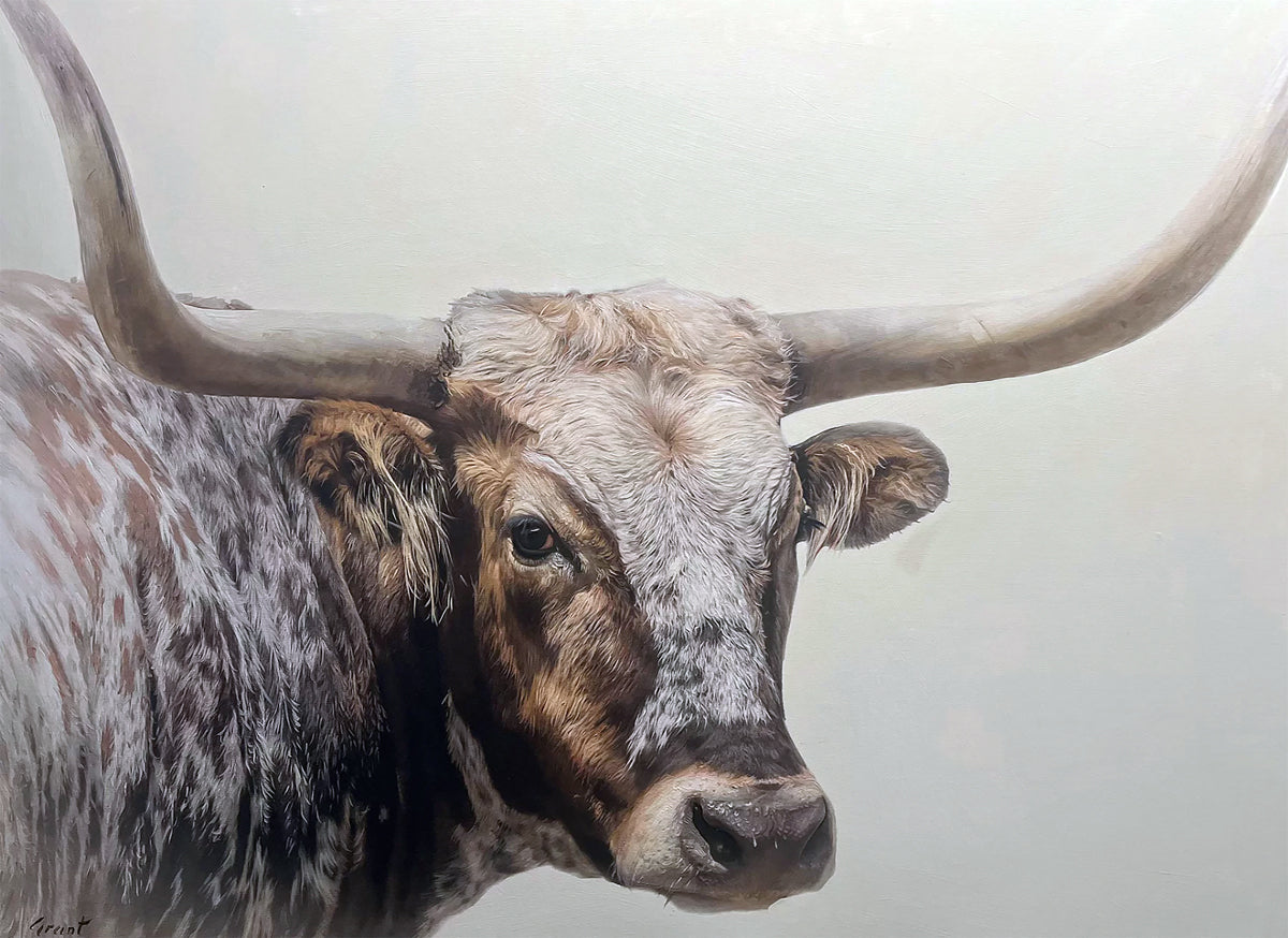 Longhorn by Matthew Grant Side profile of a longhorn steer cow – Havenlight